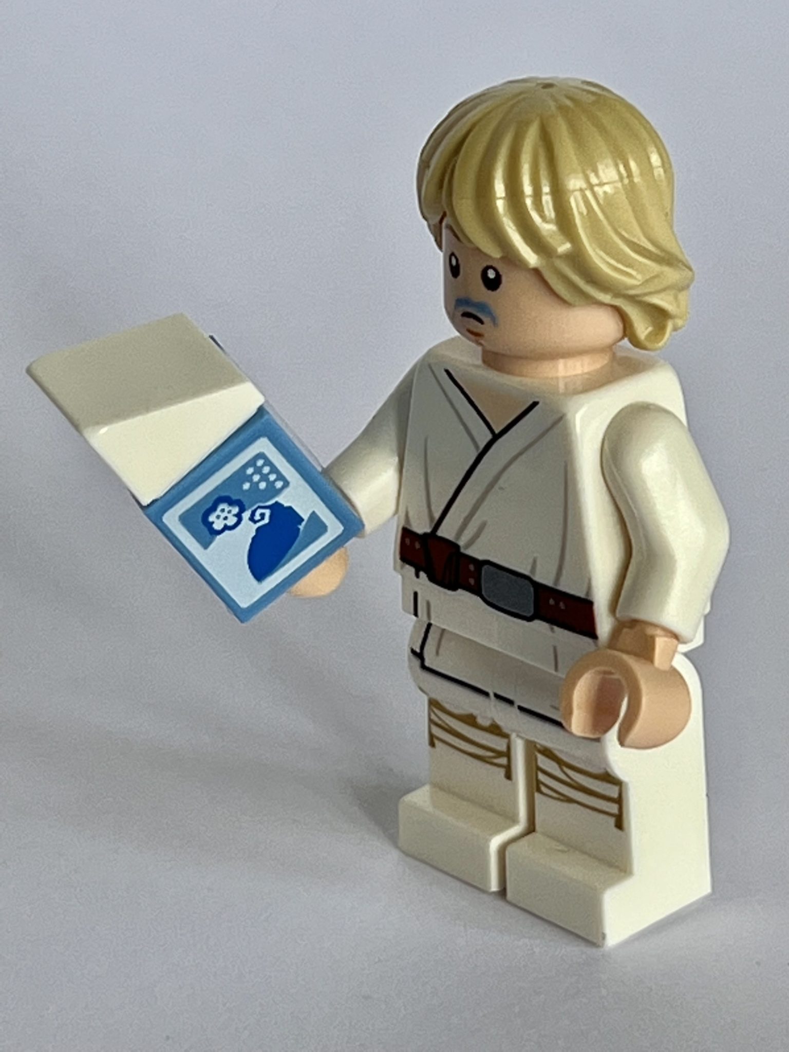 LEGO Star Wars 30625 Luke Skywalker with Blue Milk reviewed