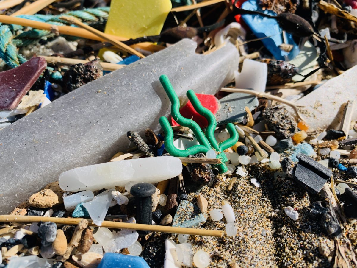 Interview: 25 years on, LEGO is still washing up on beaches