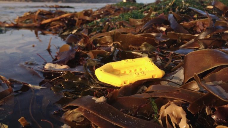 LEGO says it ‘can’t turn back the clock’ on 1997 cargo spill