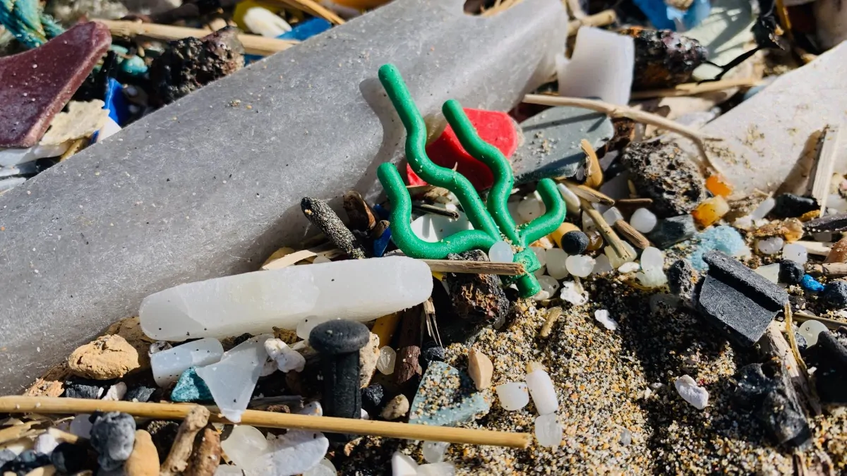 LEGO Lost at Sea wins Rescue Project of the Year 2023 award