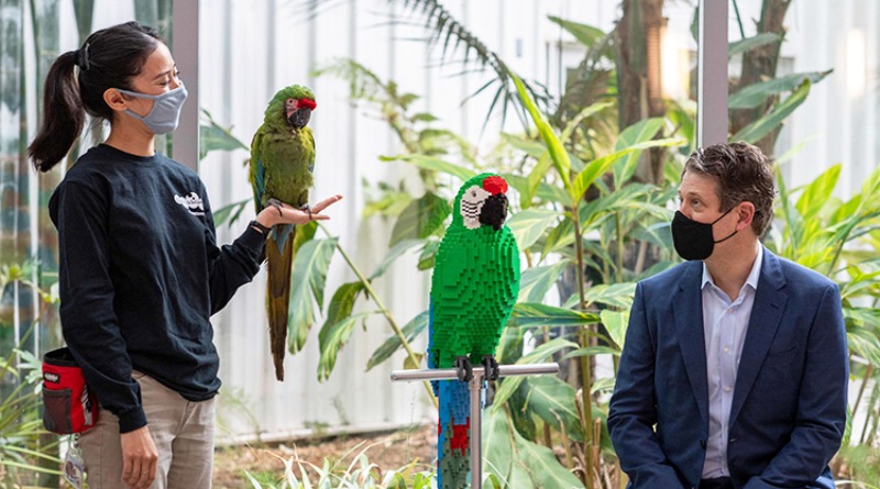Brick-built endangered animals preserved in a special LEGO exhibition ...