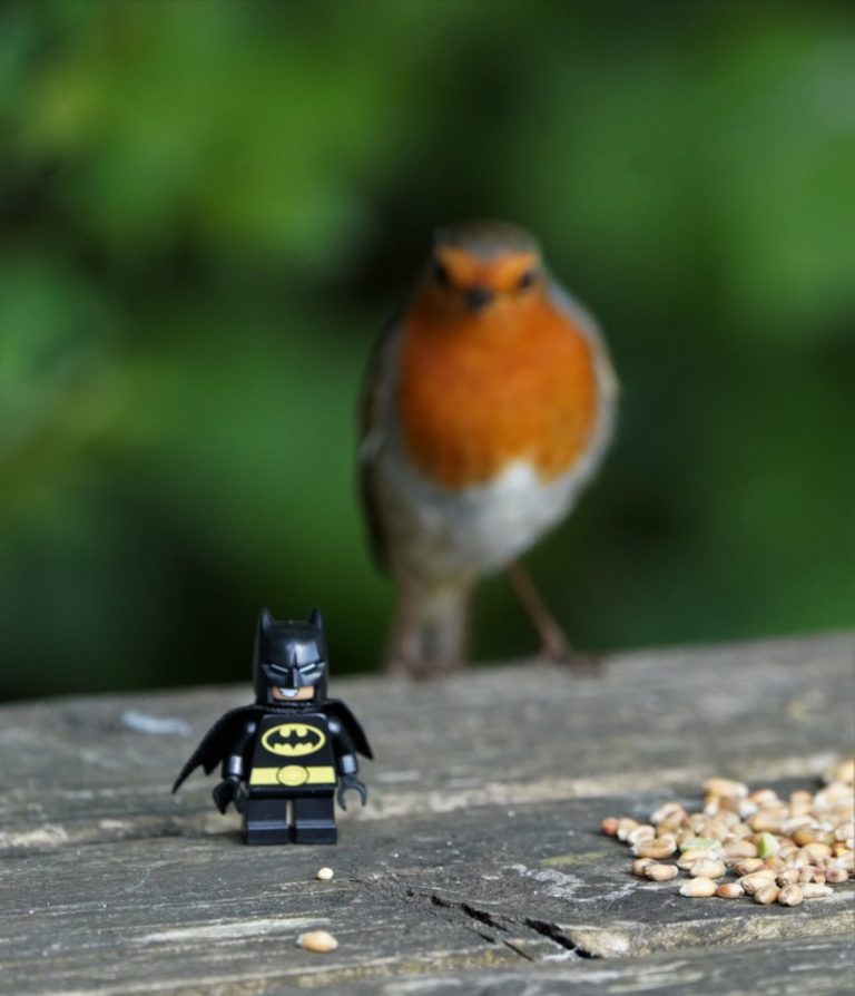 Brick Pic of the Day: Batman and...