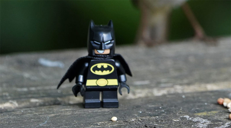Brick Pic of the Day: Batman and...