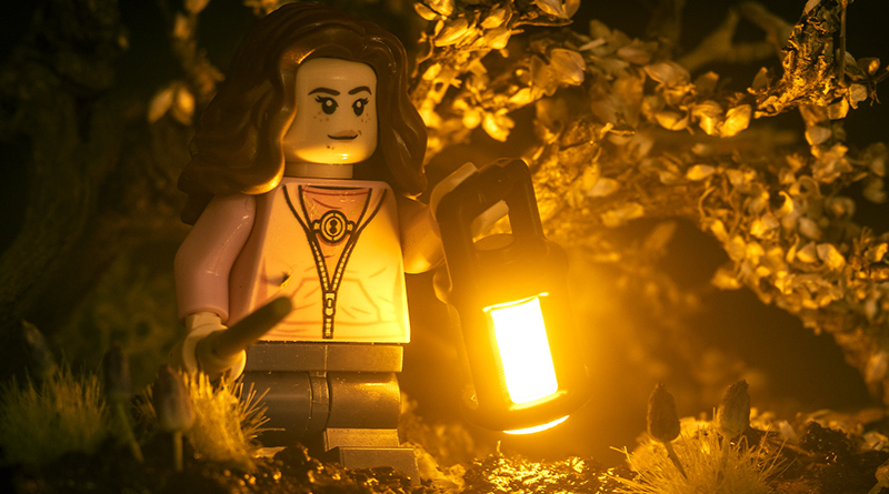Brick Pic of the Day: Forbidden Forest