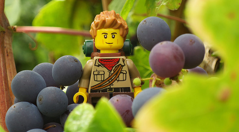 Brick Pic of the Day: Grape explorer