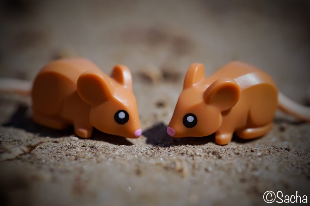 Brick Pic of the Day: Mouse chat