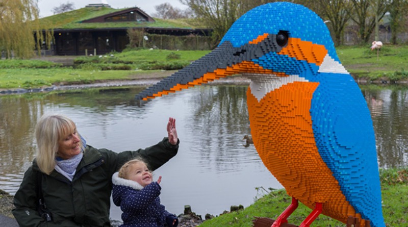 Giant LEGO Brick Animals return to Gloucestershire