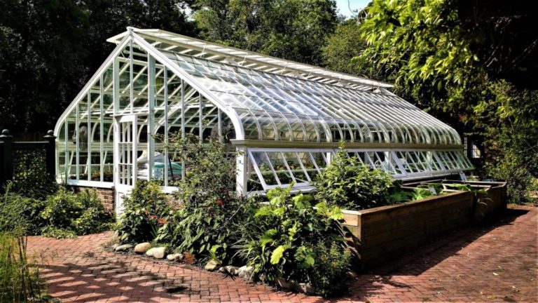 Five sets that LEGO needs to add to the Botanical Collection