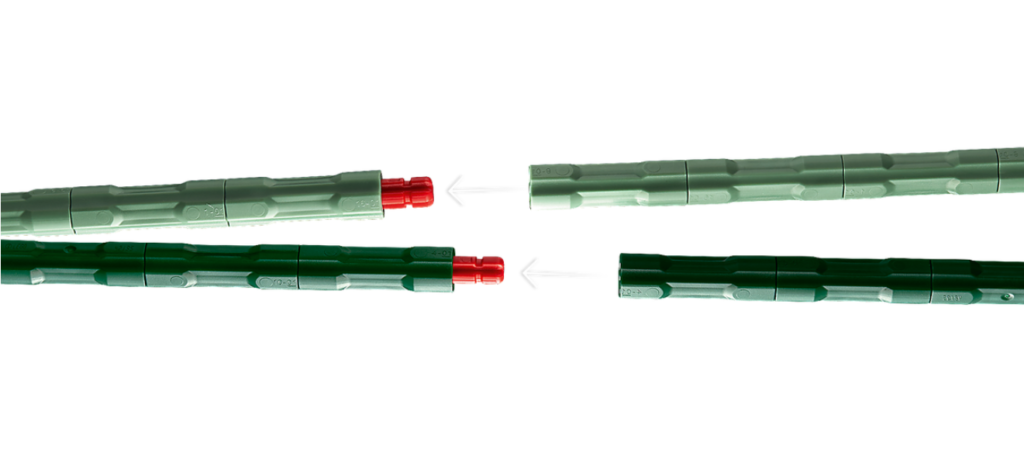 LEGO 10289 Bird of Paradise now listed on official online store