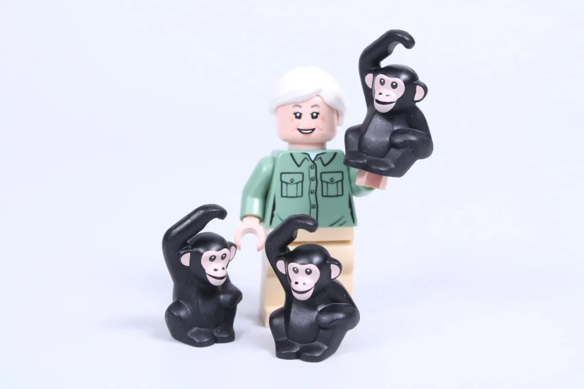 LEGO 40530 Jane Goodall Tribute gift back for a limited time