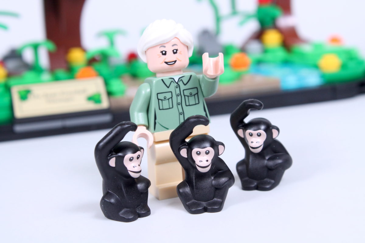 LEGO 40530 Jane Goodall Tribute GWP review and gallery