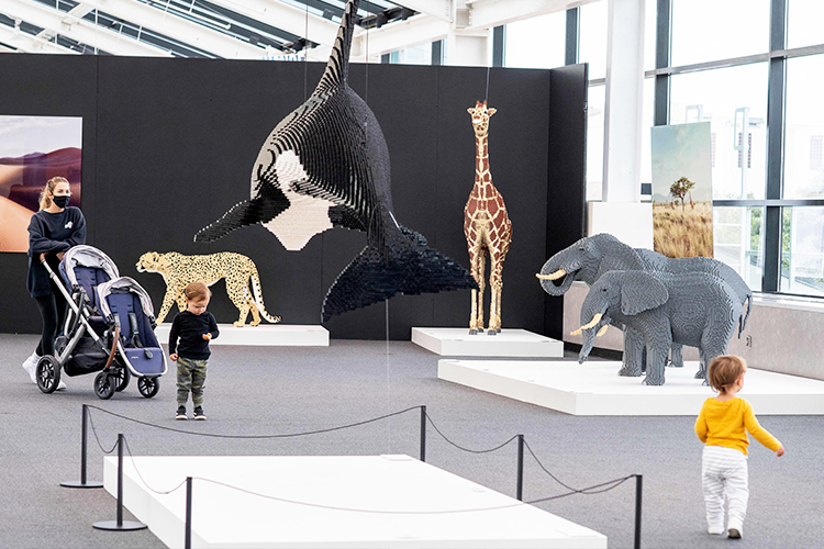 Brick-built endangered animals preserved in a special LEGO exhibition