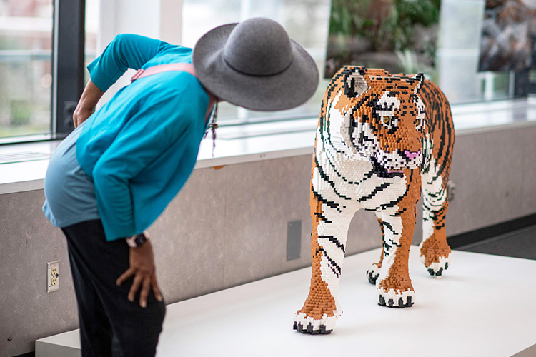 Brick-built endangered animals preserved in a special LEGO exhibition