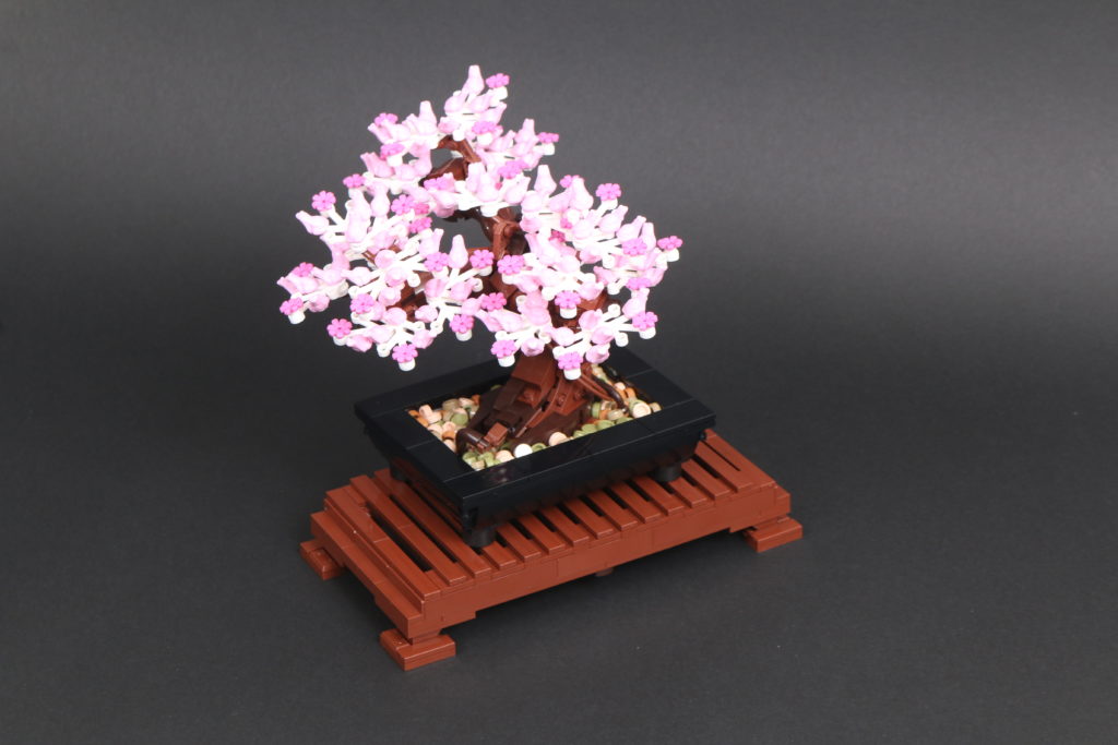 LEGO Botanical Collection 10281 Bonsai Tree review and gallery