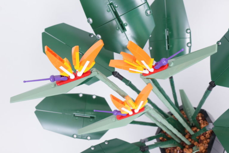 LEGO Botanical Collection 10289 Bird Of Paradise review
