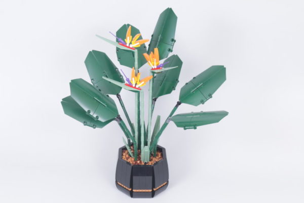 LEGO Botanical Collection 10289 Bird Of Paradise review