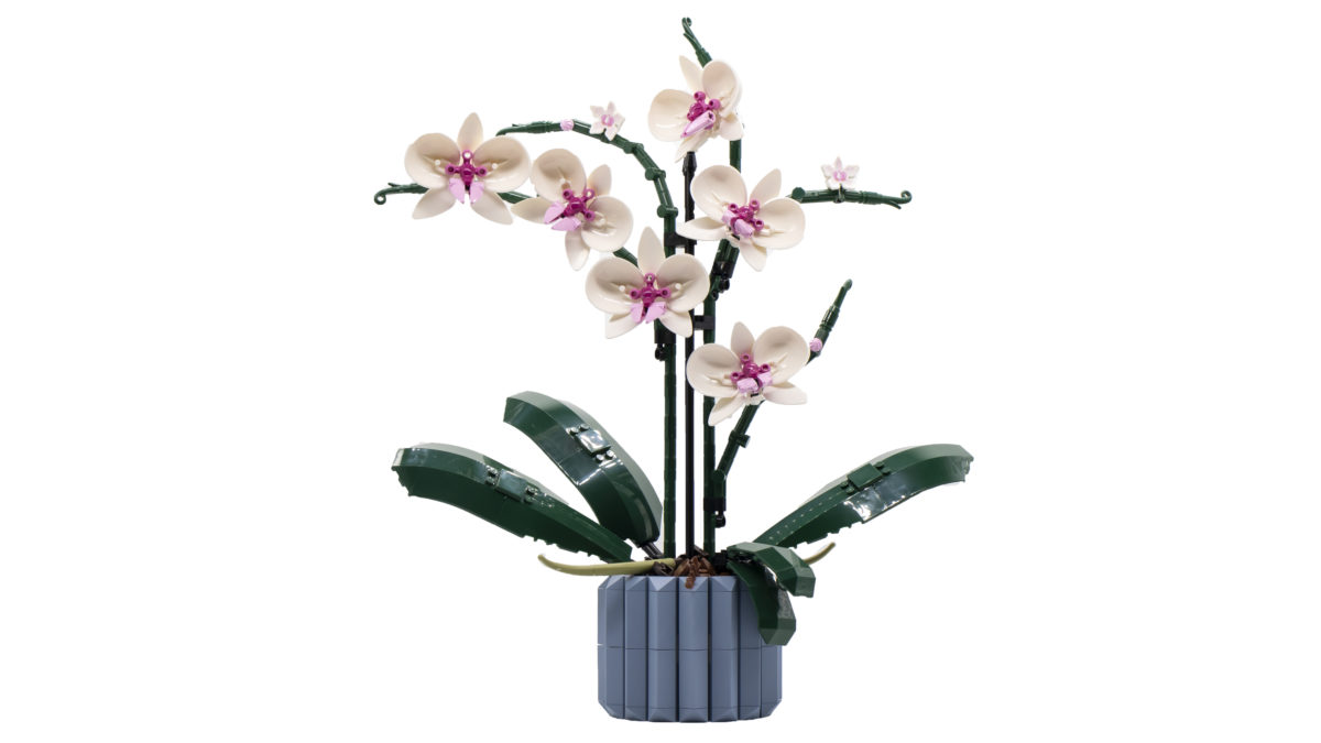 LEGO for Adults Botanical Collection 10311 Orchid review