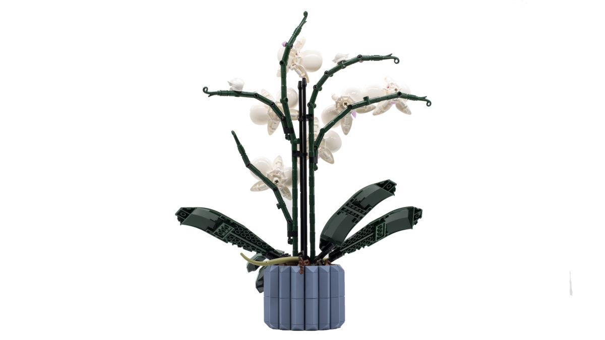 LEGO for Adults Botanical Collection 10311 Orchid review