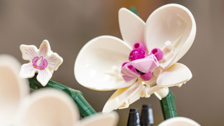 LEGO for Adults Botanical Collection 10311 Orchid review