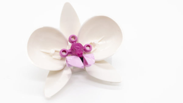 LEGO for Adults Botanical Collection 10311 Orchid review