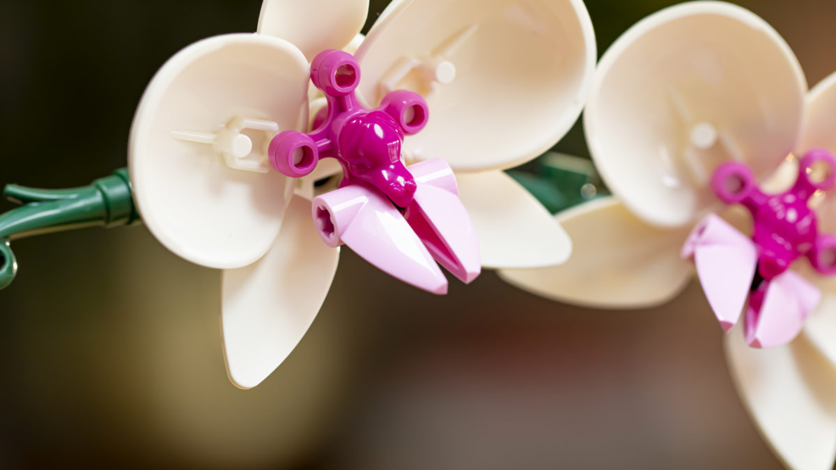 LEGO for Adults Botanical Collection 10311 Orchid review