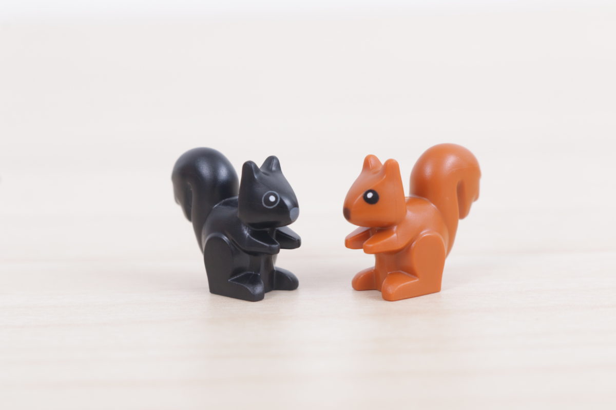 LEGO CITY 60326 Picnic in the Park review and gallery