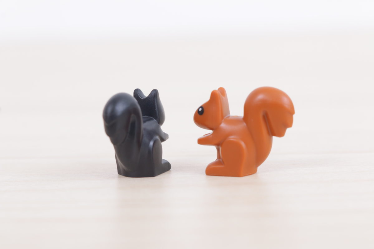 LEGO CITY 60326 Picnic in the Park review and gallery