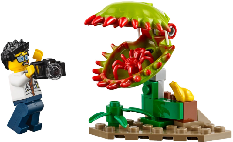 Five sets that LEGO needs to add to the Botanical Collection