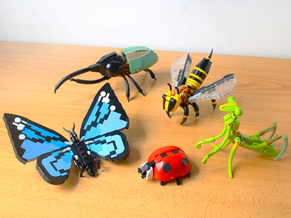Insects fan designer gave LEGO green light for big changes