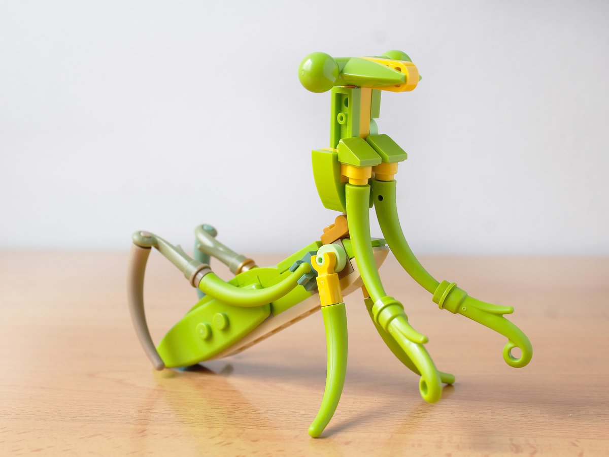 LEGO Ideas 21342 Insectes selon la date de sortie et plus encore