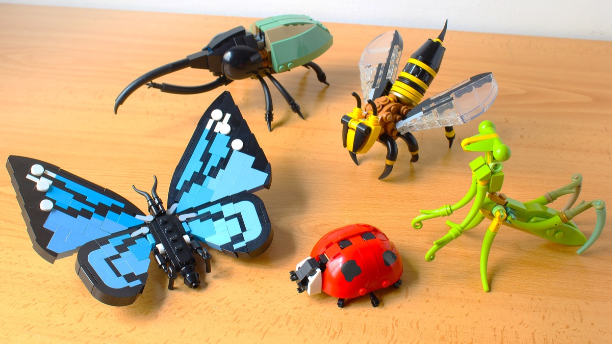 From bricks to beetles: five insects reach LEGO Ideas review