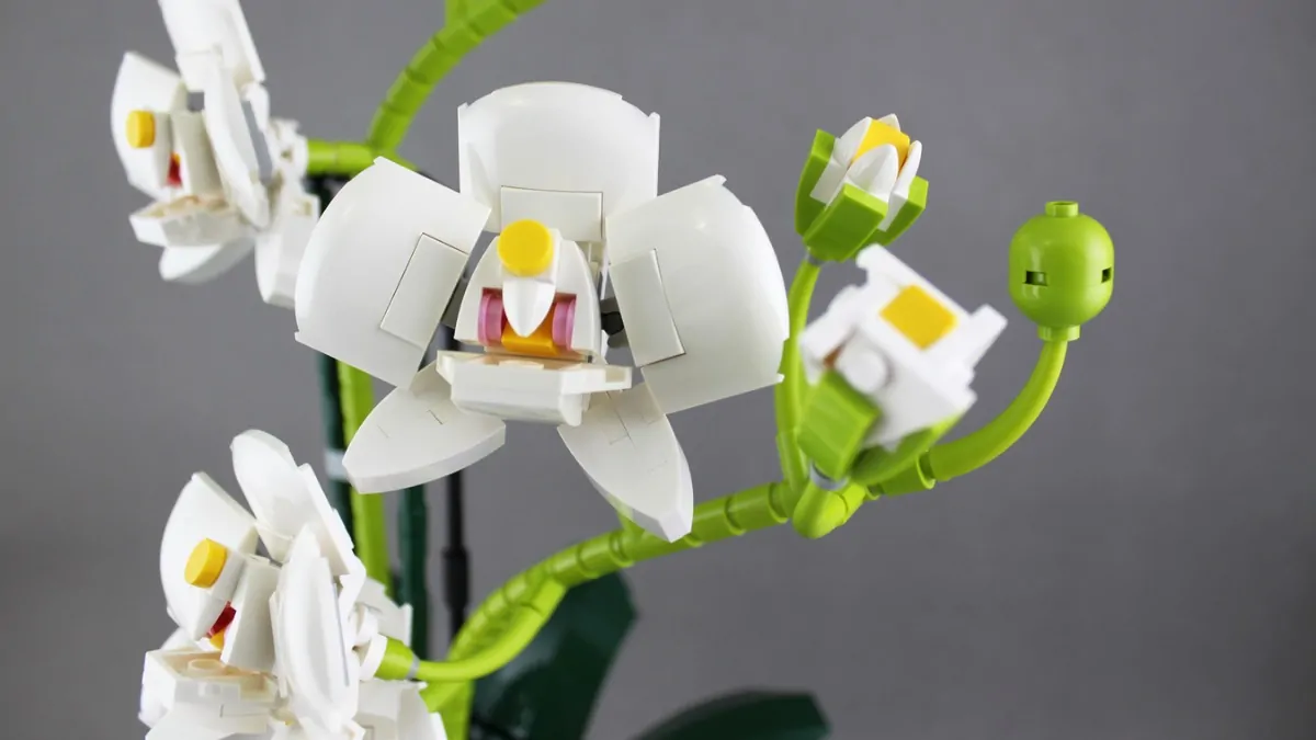 LEGO Ideas could add to Botanical Collection with an orchid