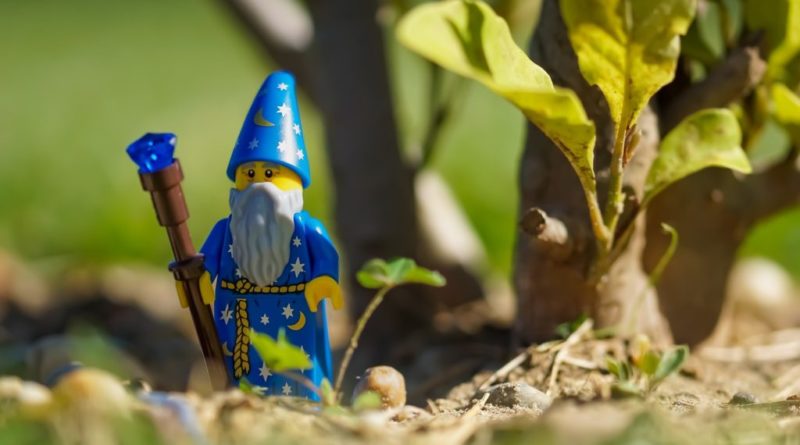 Brick Pic of the Day: Mage of the Enchanted Forest
