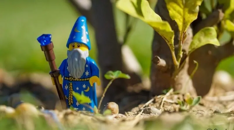 Brick Pic of the Day: Mage of the Enchanted Forest