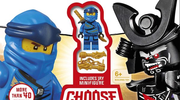 LEGO NINJAGO Choose Your Ninja Mission book available now