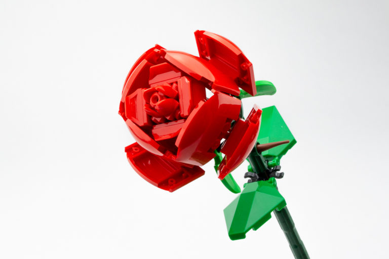 LEGO Iconic 40460 Roses review, photos and gallery