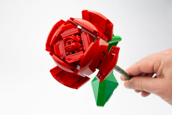 LEGO Iconic 40460 Roses review, photos and gallery
