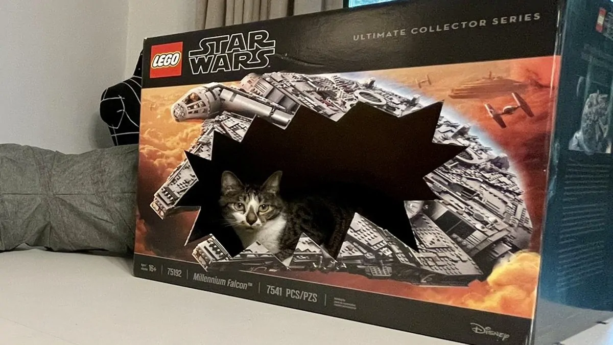 LEGO Star Wars UCS boxes are a popular choice with pets