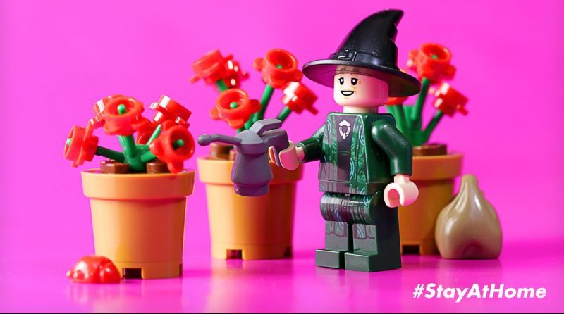 Brick Pic of the Day: Staying at home