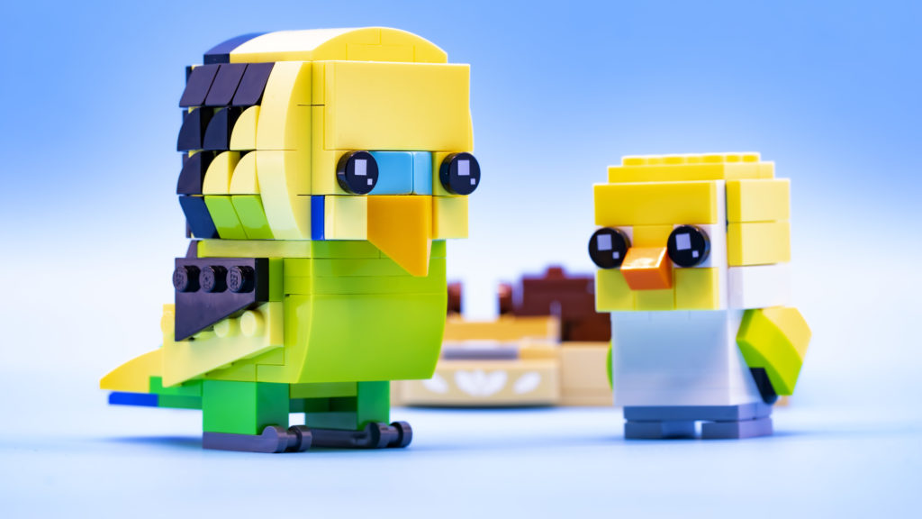 LEGO BrickHeadz 40443 Budgie review
